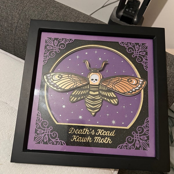 3D Death's Head Hawk Moth Shadow Box, Death Head Moth 3D SVG, Butterfly ...