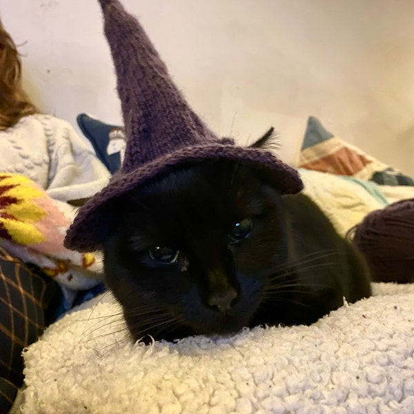 Wizard Pet Hat Pattern, Patterns for Pets, Oona Patterns, Knit Pattern ...