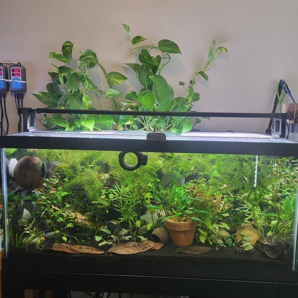 Fluval Aquasky/plant 3.0 Light Risers: Aquarium Tank Mount - Etsy