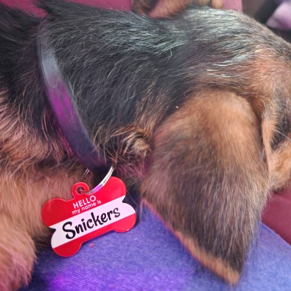 Hello My Name is Pet Tag - Personalized Dog Puppy Cat ID Tag - Pet Gift ...