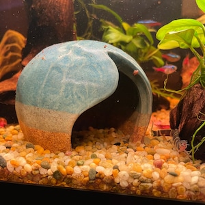 Basic Betta Fish Cave MADE TO ORDER Aquarium Rocks Fish - Etsy