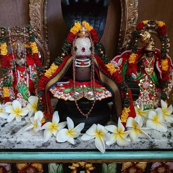 Bird of Paradise Deity Outfit (for 8 Inch GN) - Etsy