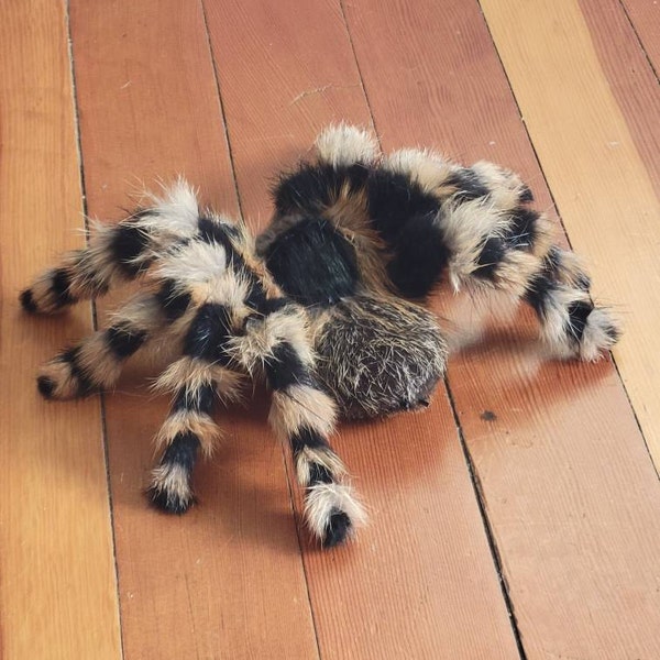 Realistic Tarantula Spider, Poseable Shelf Decor, Wall Mountable Faux ...