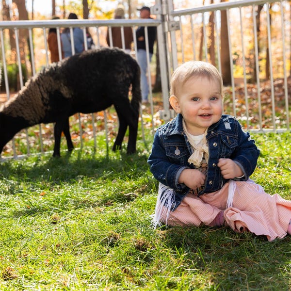 Distressed Frozen Jeans // Kids Jeans // Elsa // Anna // Frozen ...