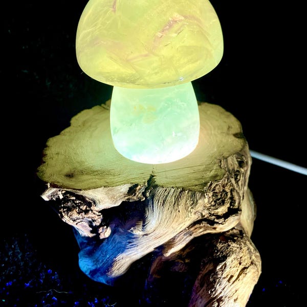 Large LED Wooden Light Display Base – White Light for Crystals ...
