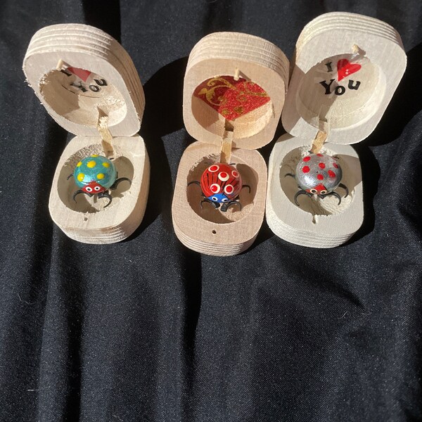 Ladybug in a Wooden Box Cute Wiggle Leg “I Love You” Valentine ...