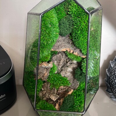 Geometric Terrarium Prism Desktop Mossarium Centrepiece Preserved Moss ...