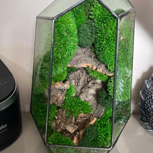 Geometric Terrarium | Prism | Desktop Mossarium Centrepiece | Preserved ...