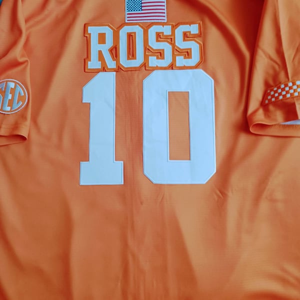 Chubby Robin American Bird Spring/nature Iron on Applique/embroidered Patch 697357-A - Etsy