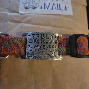 Mini Dog Tag for Dogs, the Bean, Dog Tag, Kidney Bean, Personalized ...