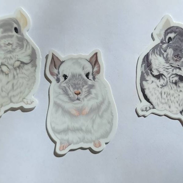 Chinpals Metal Enamel Chinchilla Pin - Etsy