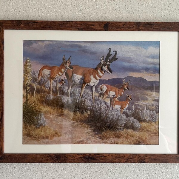 Vtg New Unused Cafe Curtain Rod Rings, 1 Inch Inside Diameter // Kirsch ...