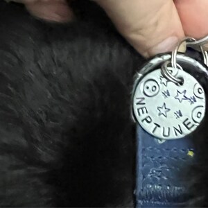 Comet Pet Tag: Brushed Aluminum, Personalized Dog Cat ID - Etsy
