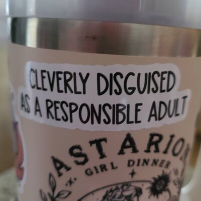 Not All Math Puns Are Terrible Sticker, Math Laptop Stickers, Math ...