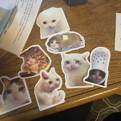 Crying Cat Sticker Pack Pack of 7 Meme Crying Cat Stickers - Etsy
