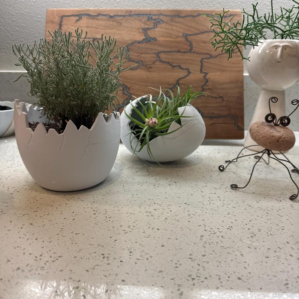 Ballerina Vase, Ballet Flower Pot, Shoe Planter, Succulent, Cacti, Air ...