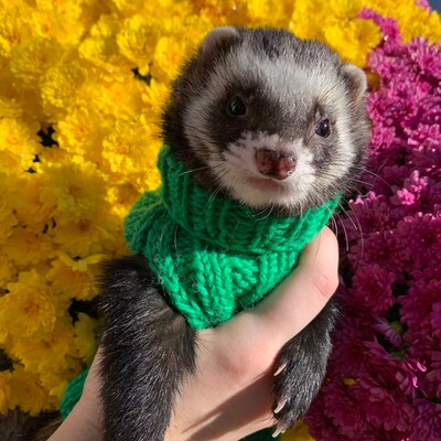 Various Colours Ferret Sweater Jumper. Hand Knitted Handmade Wool ...