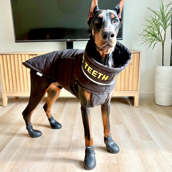 Comfortable Full Body Dog Suit, Overall for Dogs, Waterproof ...