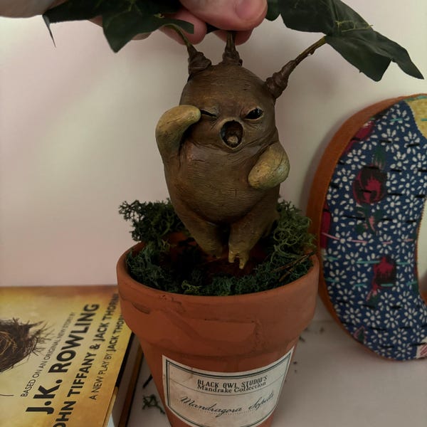Mandrake With Pot - Hand Painted - Etsy