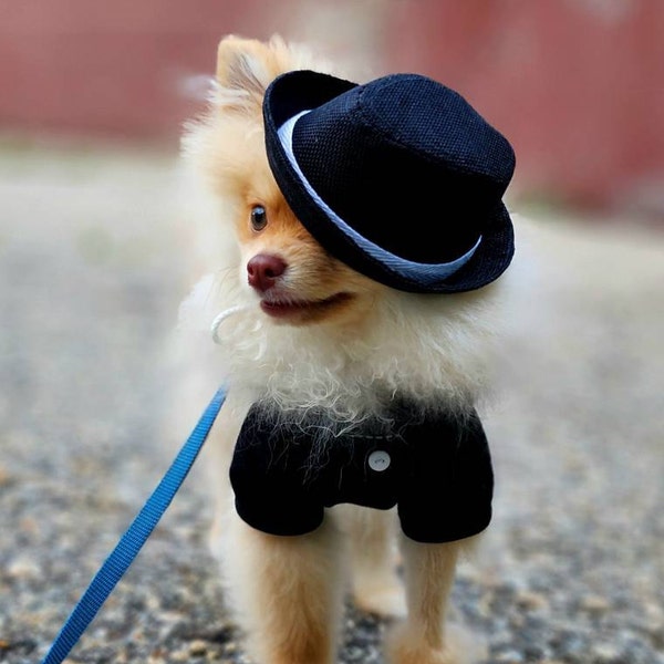 Dogs Sailor Hat, Cape Set HANDMADE Dog Hats, Dog Caps, Marine Hat ...