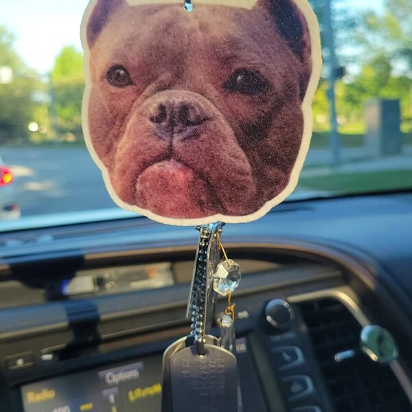 Funny Air Freshener Flaming Eye Freshener Cute Air Freshener Cool Air ...