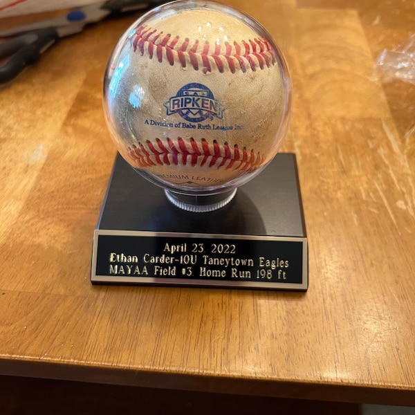 Baseball Home Run Trophy Ball Holder Protective Display Case-free ...