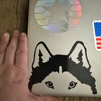 Skeleton Bum Car Stickers Car Decals Vinyl Decals - Etsy Canada