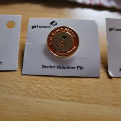 13 Years Milestone Girl Scout Iron on Patch 3 or More Daisy Brownie ...