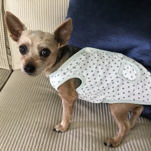 Daisy Chiffon Crop Top XS-2XL Dog-shirts Dog Top Dog - Etsy