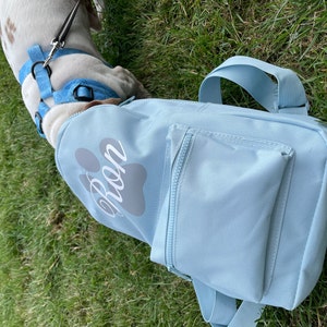 Personalised 9 Litre Backpack Water Bottle Lunch Bag - Etsy UK