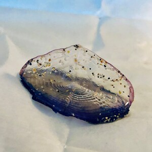 Razor Clam Shell Pairs Small Medium Large Cornish - Etsy