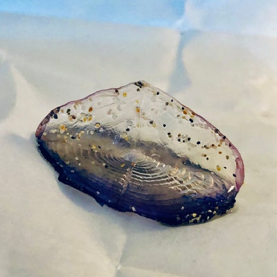 Razor Clam Shell Pairs Small Medium Large Cornish - Etsy