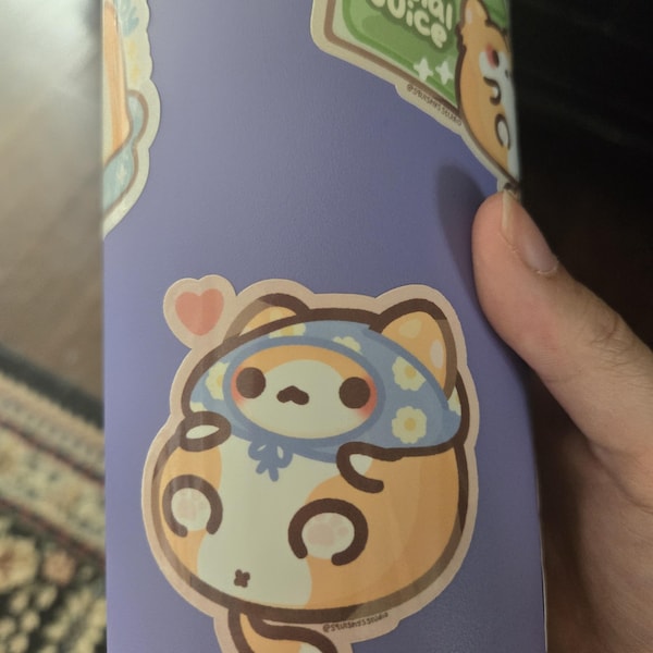 Please Handle With Love FRAGILE Sticker Cat Meme Stickers Kawaii/funny ...