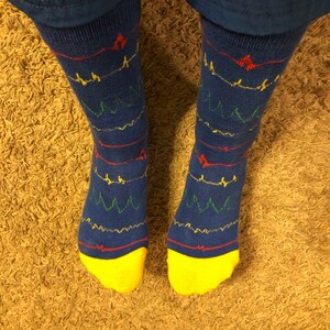 Rainbow Heart Beat Socks Cardiac Rhythm Socks Heart Rhythm Socks ...