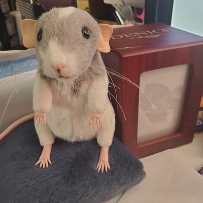 CUSTOM RAT PORTRAIT, Made to Order Rats, Personalized Plush Figurines ...