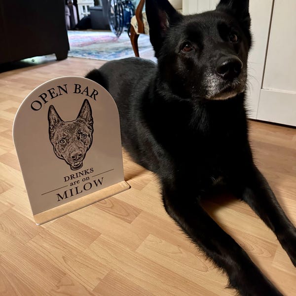 Minimalist Open Bar Sign, Drinks Are on Me, Drinks Are on Us, Dog of ...