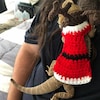 Bearded Dragon Candy Corn Costume Sweater, Halloween Lizard Sweater ...