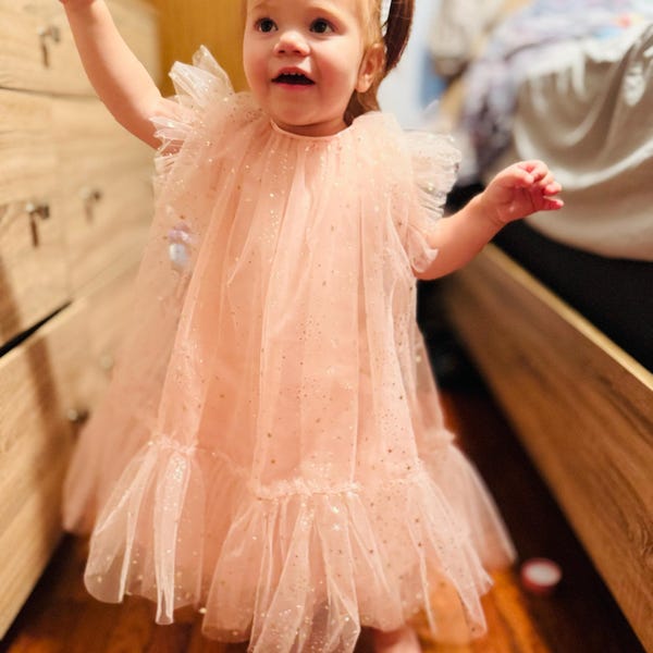 Powder Pink Girl Dress, Flower Toddler Wedding Gown, Fairy Princess ...