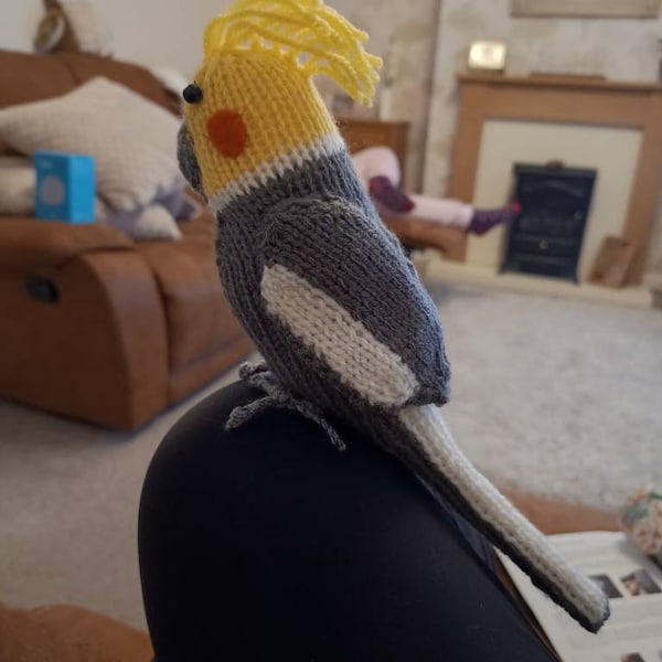 Northern Cardinal Knitting Pattern - Red Bird Knitting Pattern for a ...