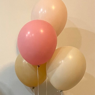 Boho Rainbow Latex Balloons Burnt Orange Mustard Blush Sage Slate ...