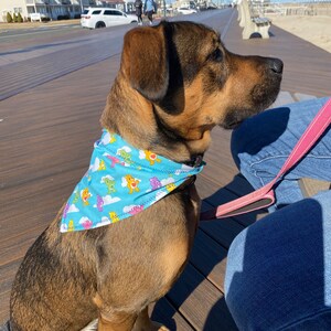 Pet Cancer Awareness Ribbon Blue Bandana I'm Beating Cancer or Hug Me I ...