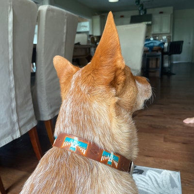 AZTEC Dog Collar, THUNDERBIRD Dog Collar, Hand Tooled Leather, Leather ...