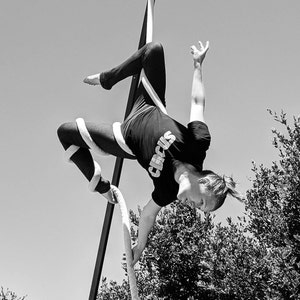 Trapeze Aerialist & Circus Arts Wait for the Hep Acrobat Decal Sticker ...