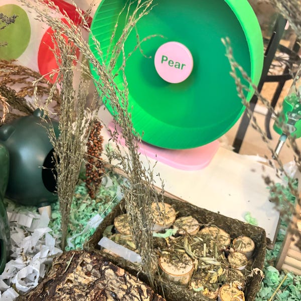 Flower Foraging Wheel, Rat Foraging Wheel, Rat Enrichment Toy, Bird ...