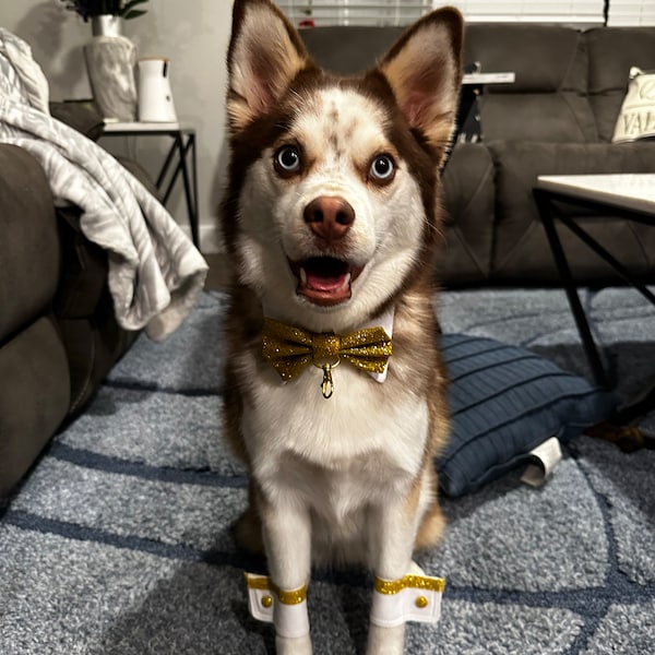 Dog Cuffs, Custom Dog Tuxedo Cuffs for Wedding, Dog Wedding Accessory ...