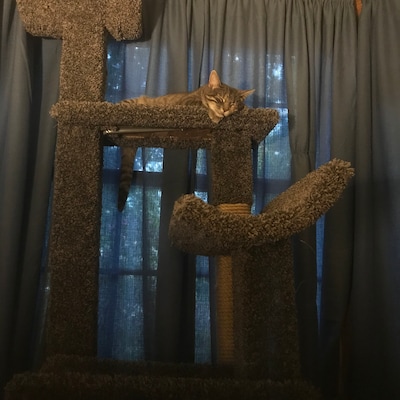 Crows Nest Cat Furniture - Etsy