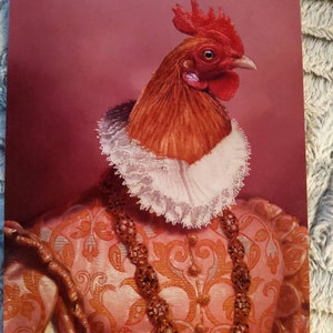 Pet Portrait Background,photoshop Digital Backgrounds, Template, Pet ...