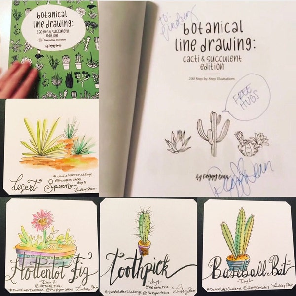 LIMITED EDITION Botanical Line Drawing: Cactus & Succulent Edition ...