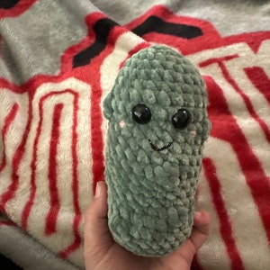 PATTERN ONLY, Easy Pickle Crochet Pattern, Instant DOWNLOAD - Etsy