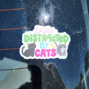 Cat Notepads Set of 4, Cute Cat Stationery Set, Notepad for Teacher ...